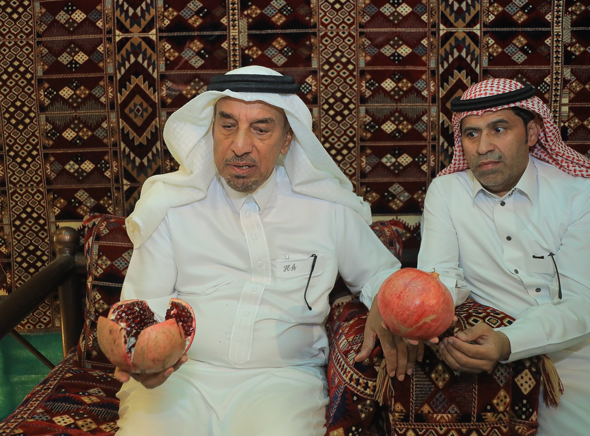 10 لقطات من مهرجان رمان القصيم | موقع المواطن الالكتروني للأخبار ...